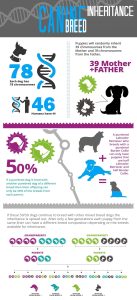 Canine Breed Inheritance | Dog Breed DNA Chart | AffinityDNA UK